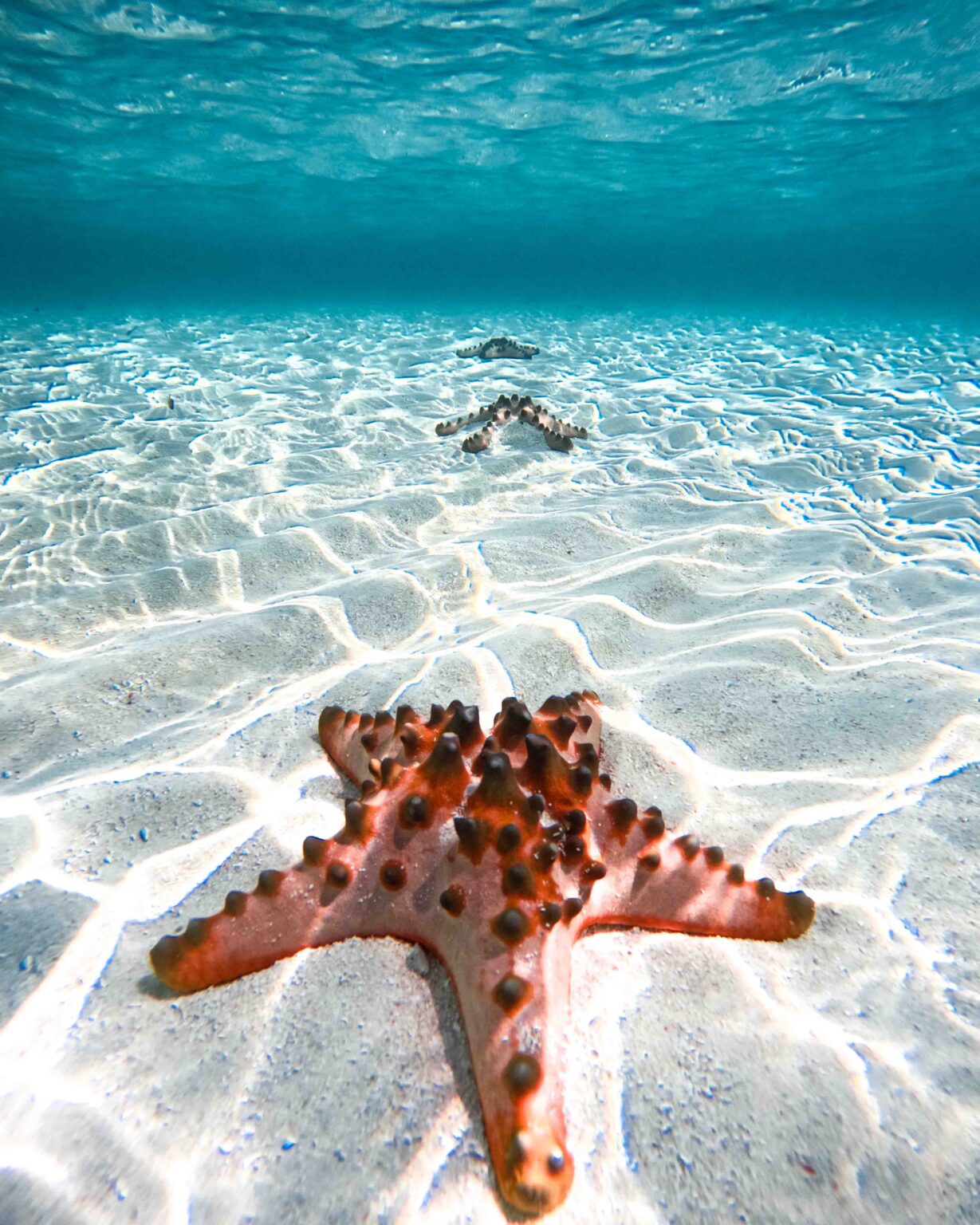 Balabac : croisière 4 jours et 3 nuits - Oceane Le Gall - Photographie ...